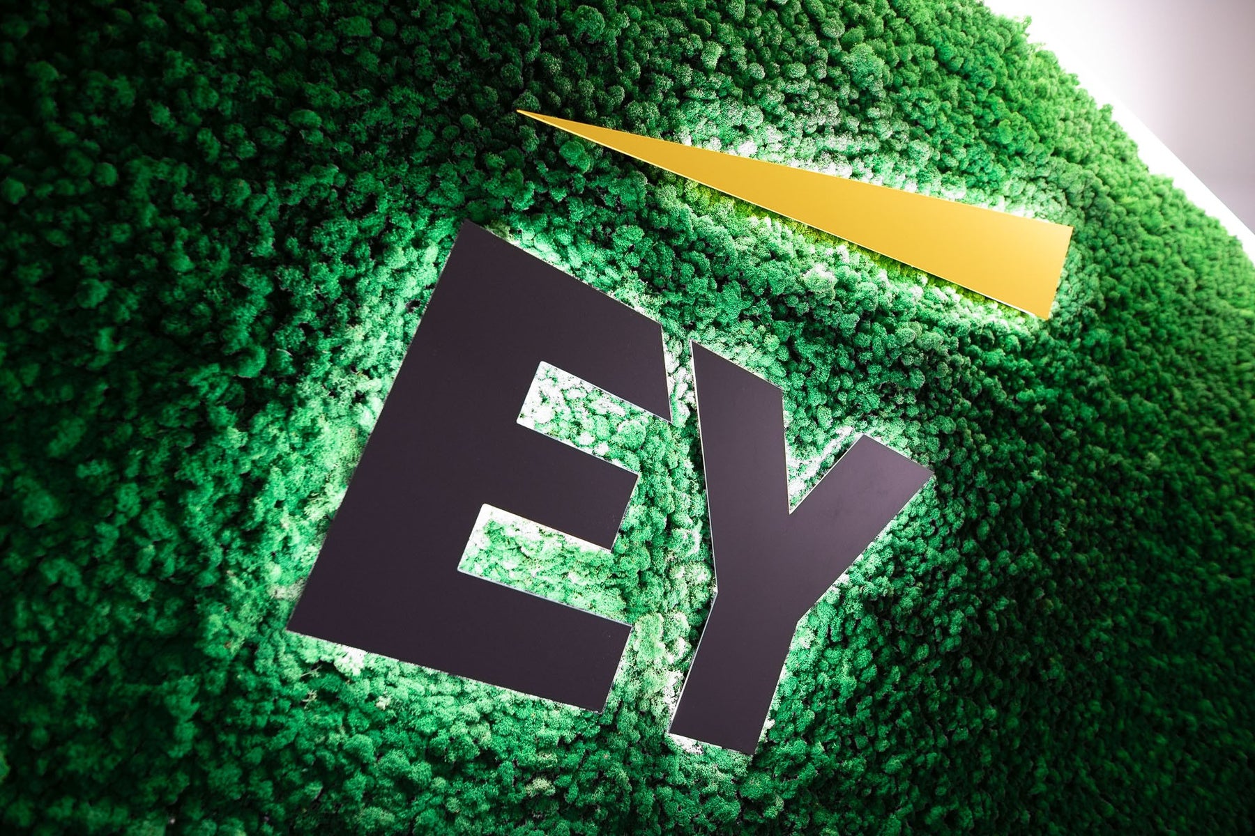 EY - Global | Home